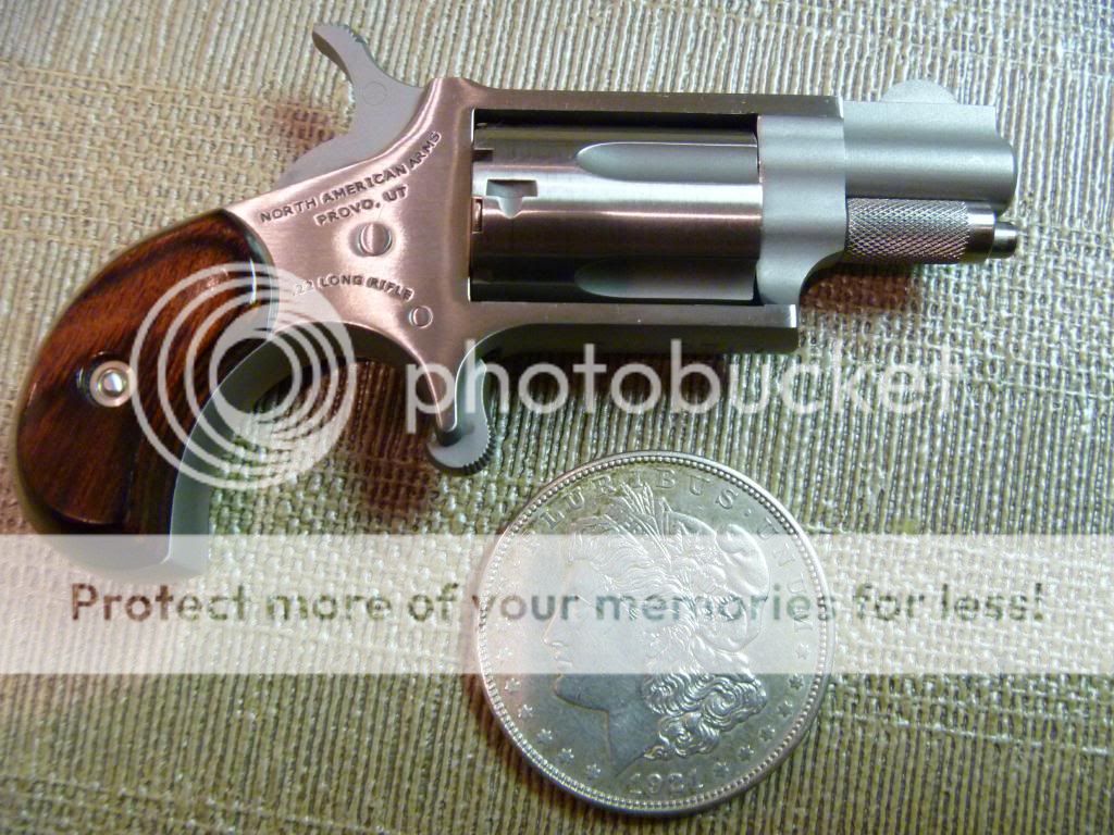 "Mouse Gun" Porn...... | Survivalist Forum